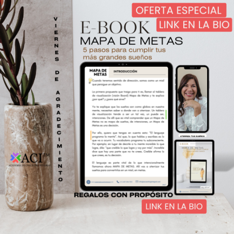 EBOOK MAPA DE METAS - Academia de Coaching